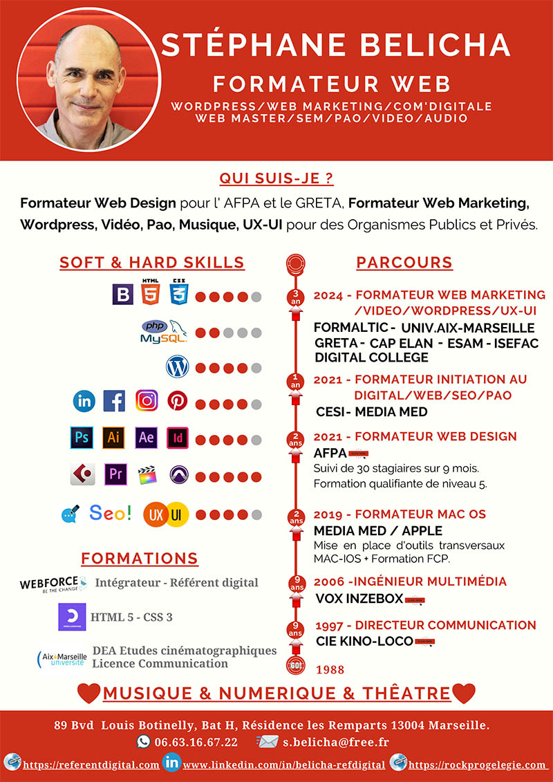 CV/SOFT-HARD SKILLS - Référent Digital